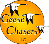 Geese Removal & Management, Clearing, Control in NJ | GEESE CHASERS™