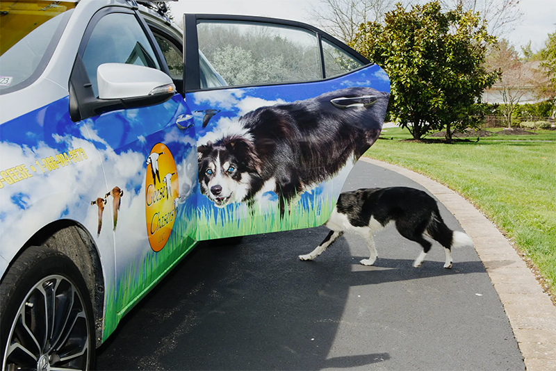 His Business? Hiring and Managing Dogs to Chase Geese. - Geese Chasers LLC